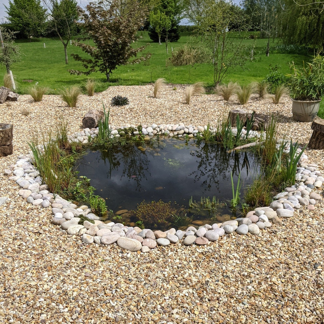 Preplanted Coir Rolls | Native Aquatic Plants | British Pond Plants